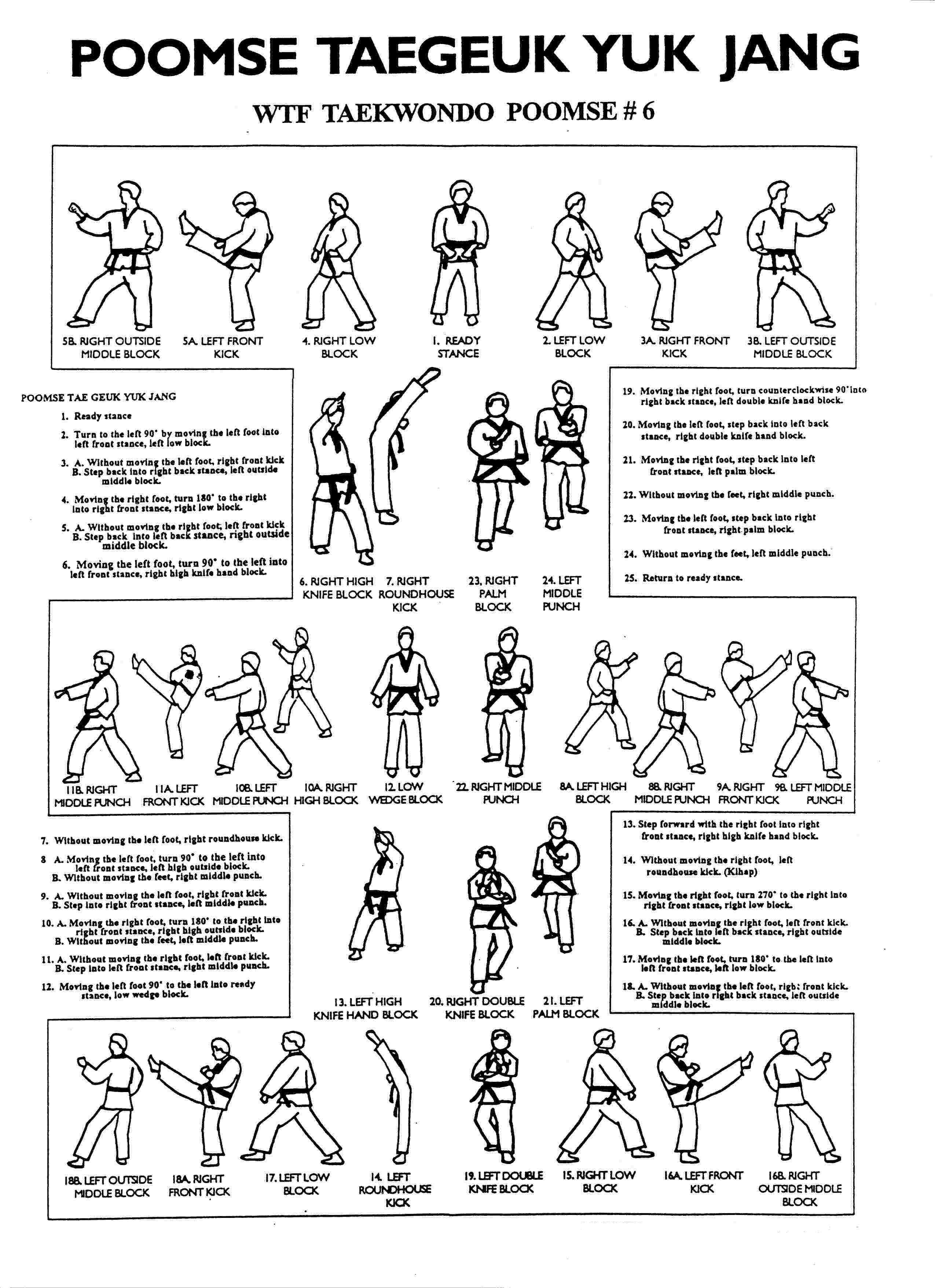 Taegeuk 6 | Markham Taekwondo Academy and Martial Arts